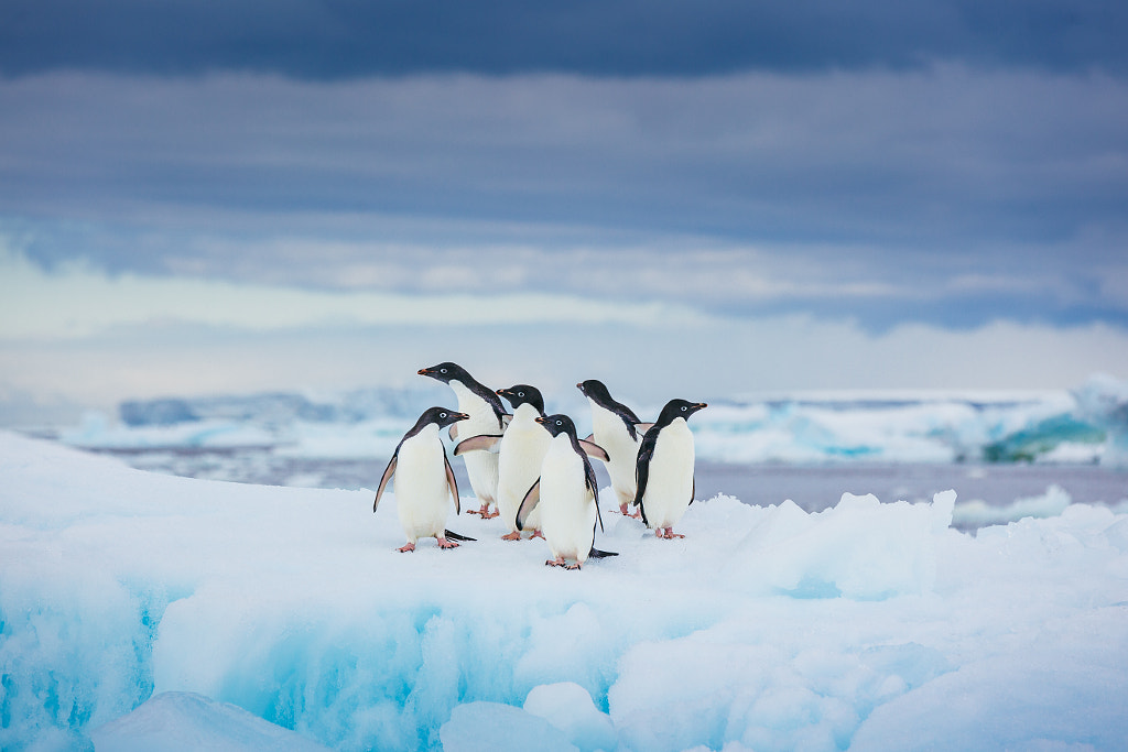 Every Direction by David Merron / 500px