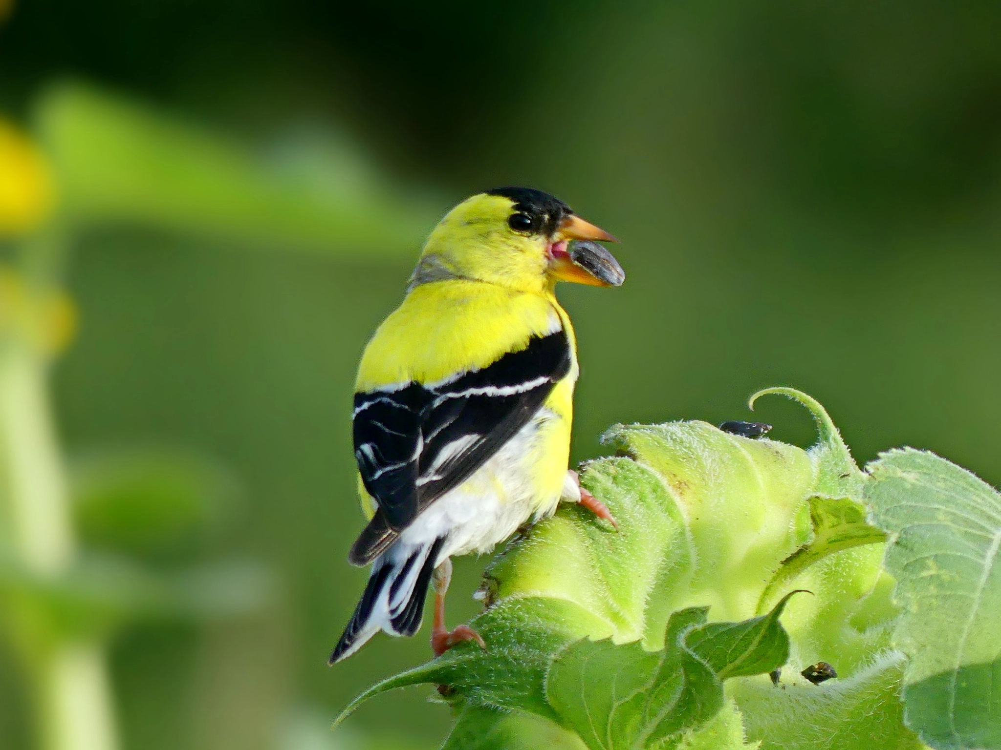 Lyuba Ivleva (fluba) Photos / 500px