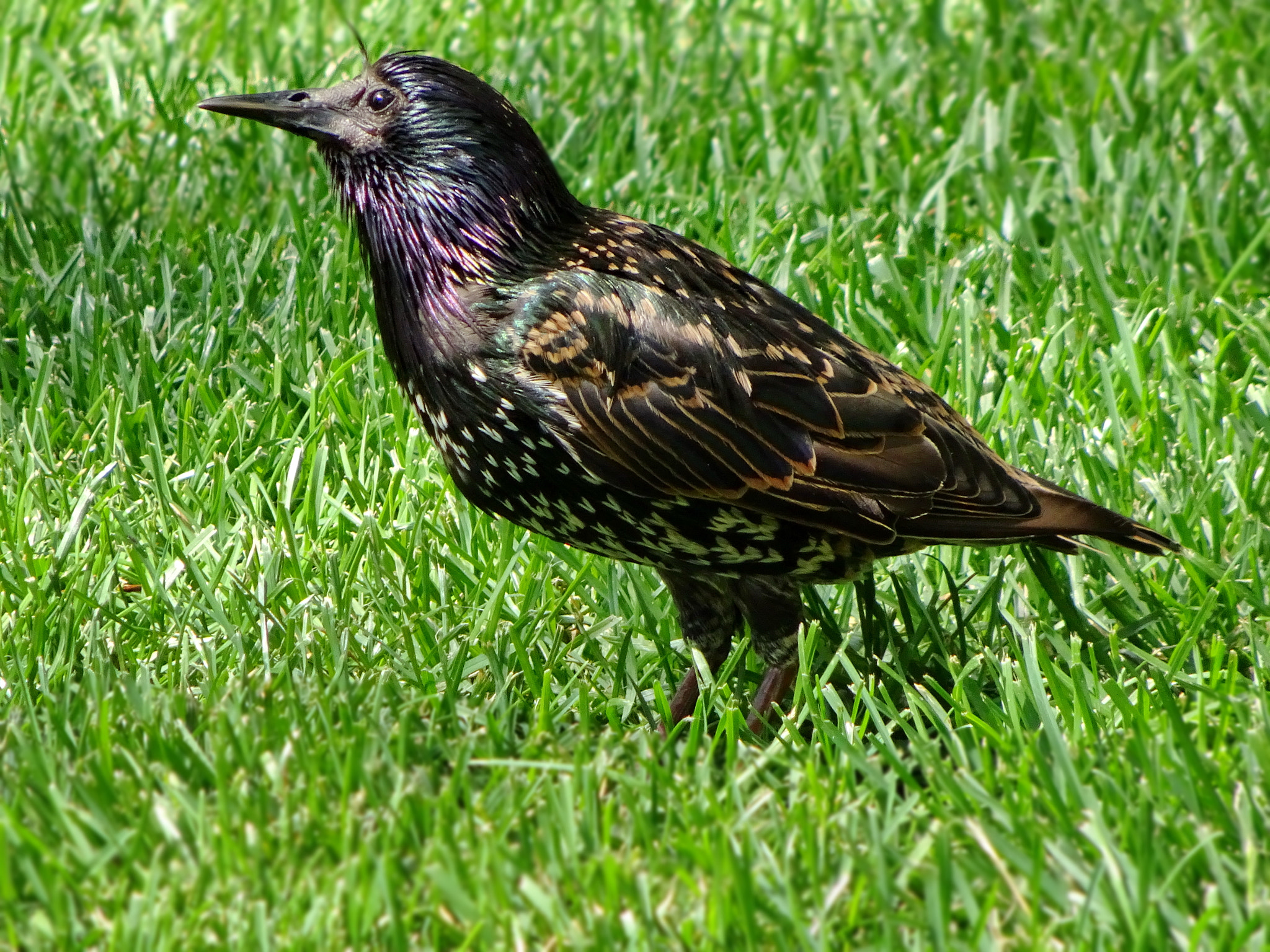 Lyuba Ivleva (fluba) Photos / 500px