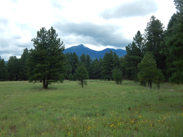 Amethyst Hayes's Photos & Galleries | 500px