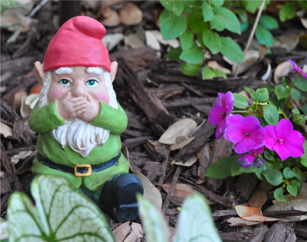 flower by Annie Bergenheier / 500px