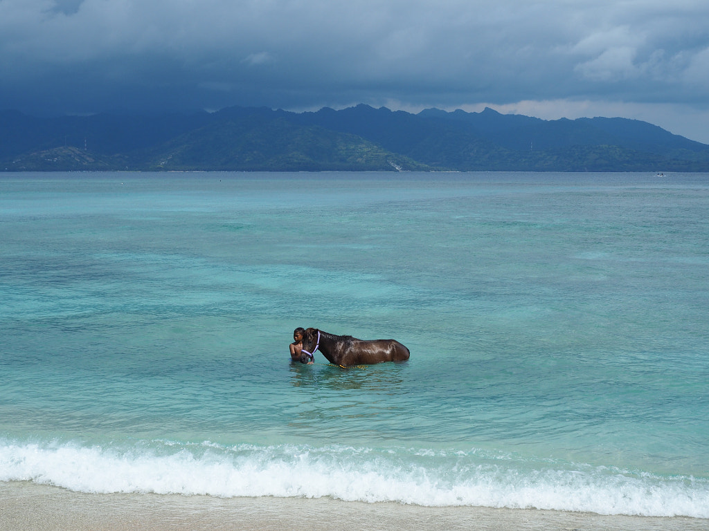 A local boy washing his horse, Gili T, Indonesia. by Aimee Owens / 500px