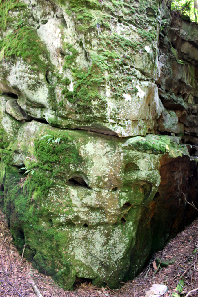 Goofy Giant by Gregory Phillips / 500px