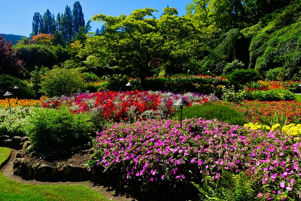 Butchart Sunken Gardens by Eric Anderson | 500px