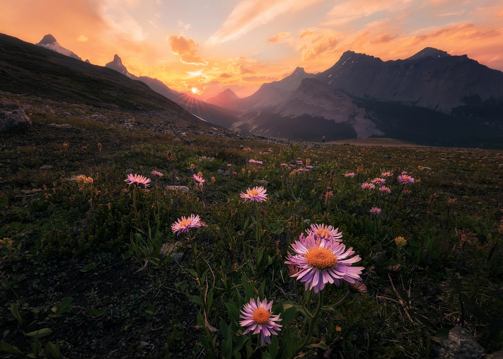 The Dream Place by Annie Fu / 500px