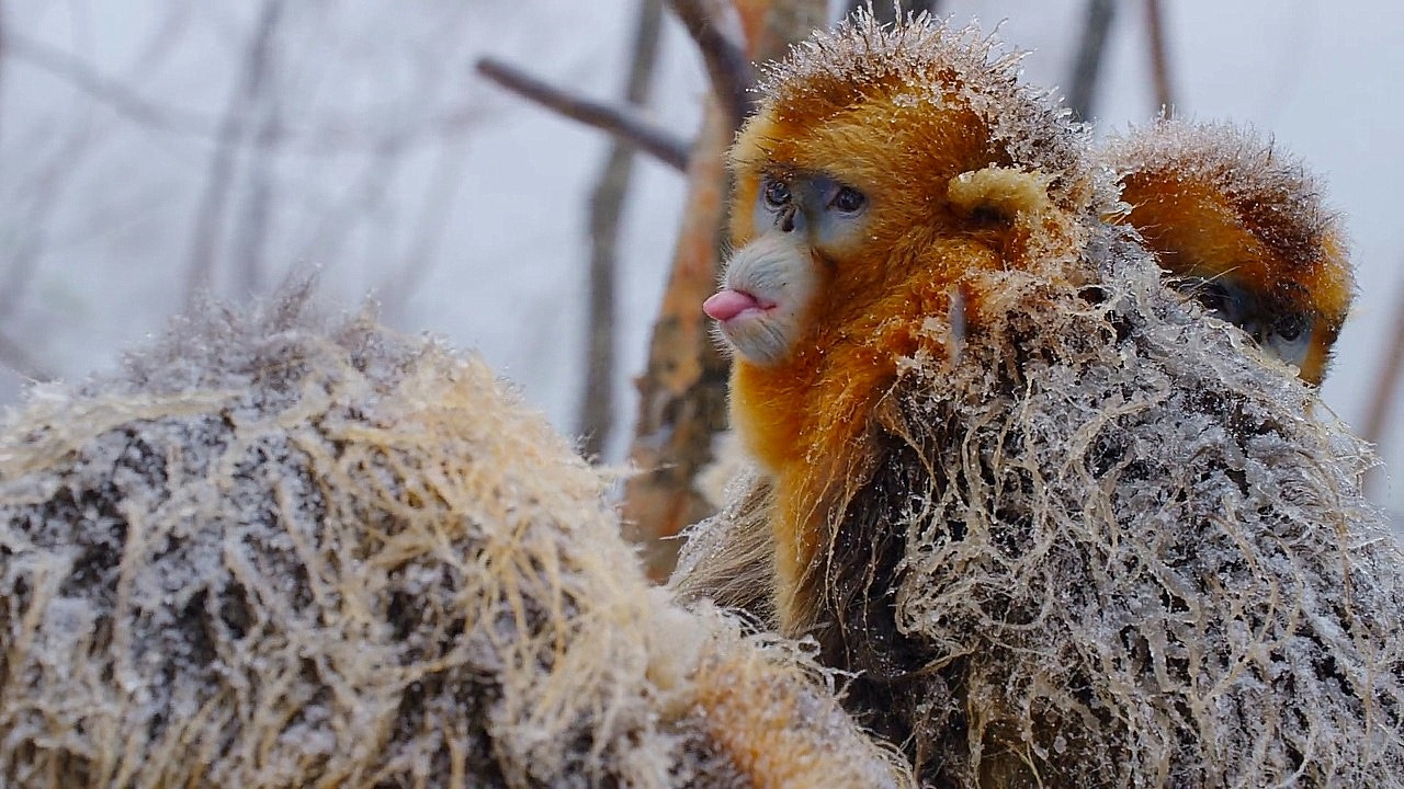 Gesto de humor! by Acora / 500px