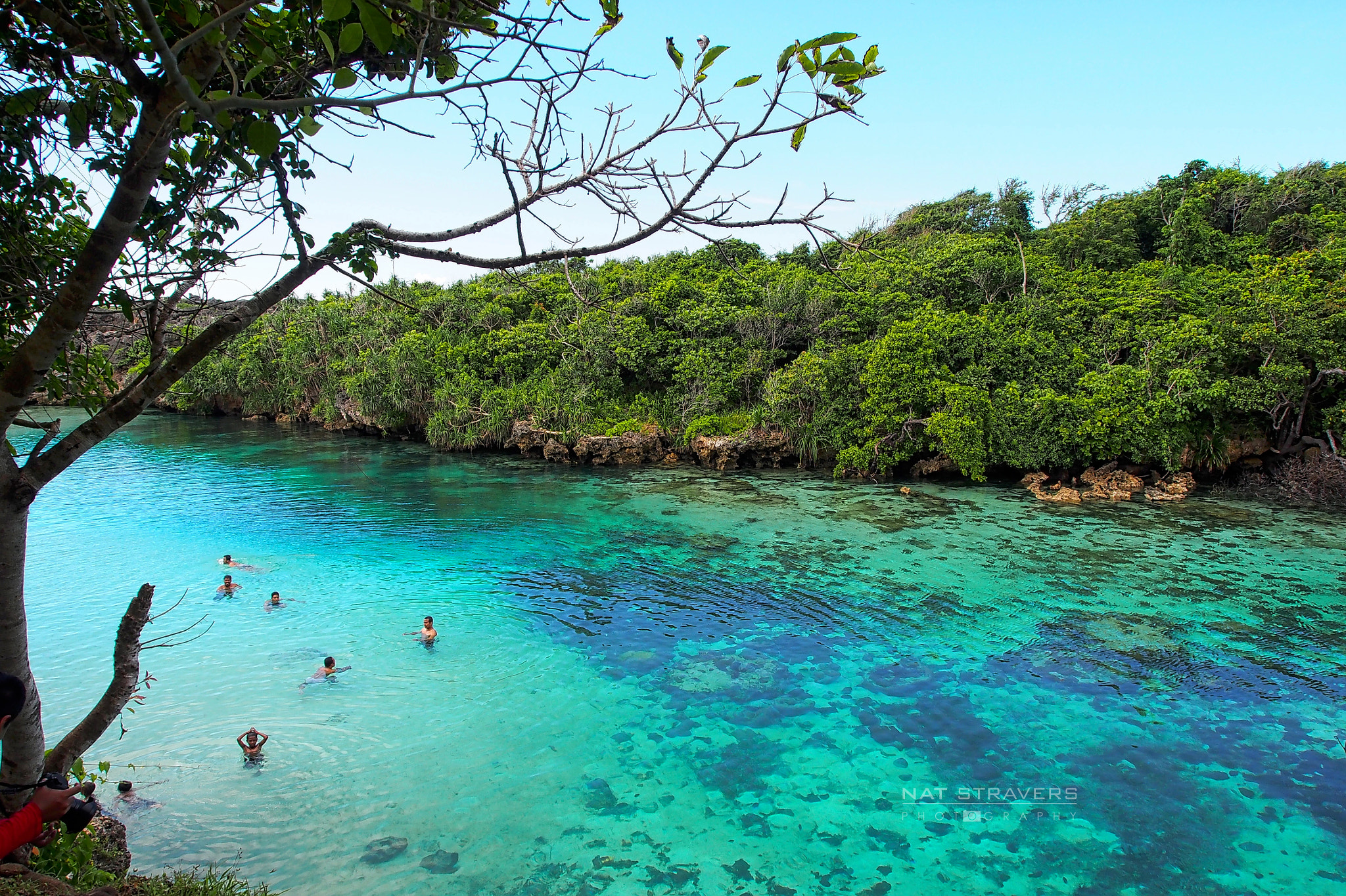 Tropical Paradise with Crystal Clear Water | landscape photo by ...