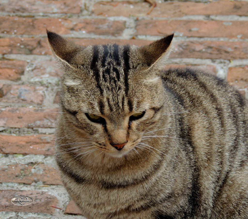 ci pensa poi se ne va by angela percaso / 500px