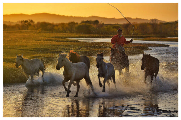 webwxgetmsgimg (马踏水花) by 巨波 曹 / 500px
