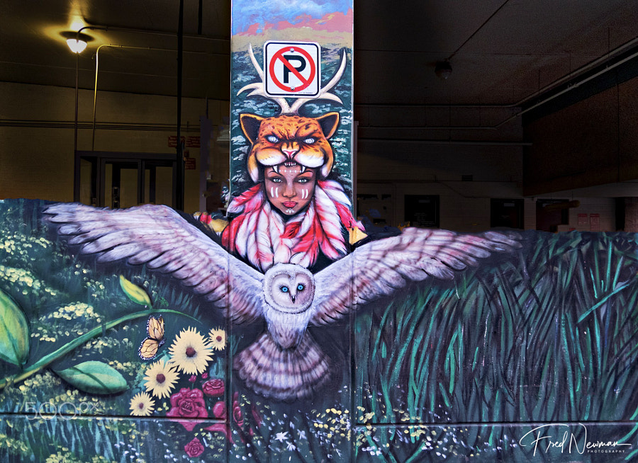 No Parking by Fred Newman / 500px