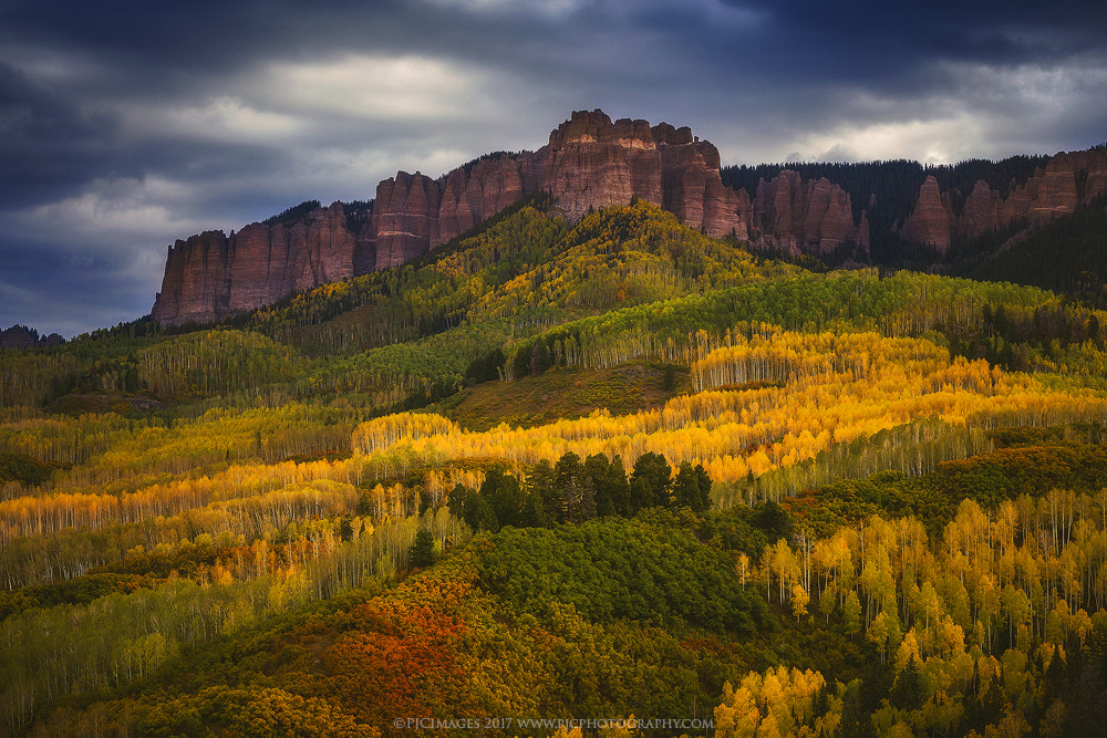 Color Rush by Peter Coskun Nature Photography / 500px