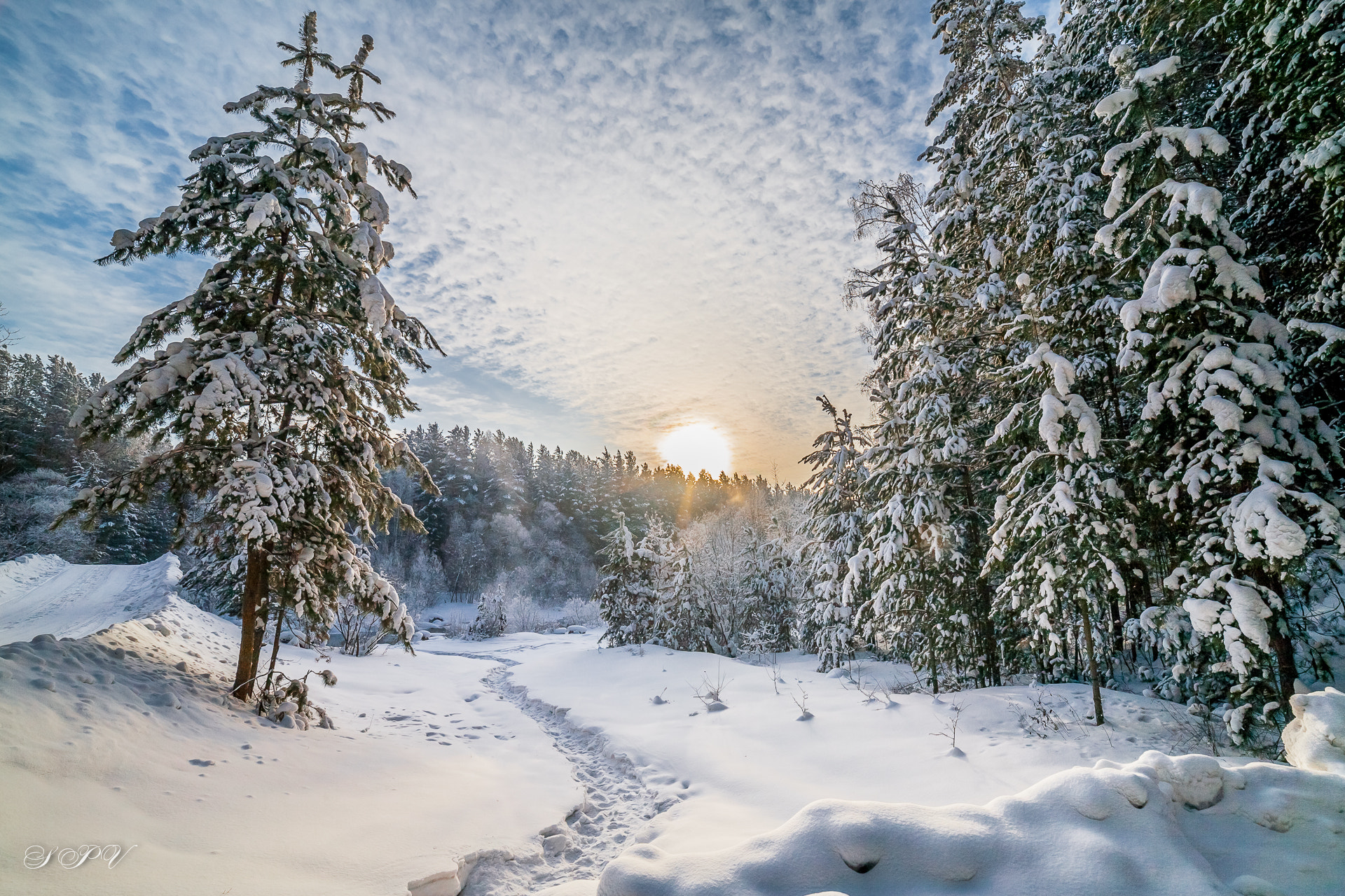 Winter in Siberia by Pavel Stasenko / 500px