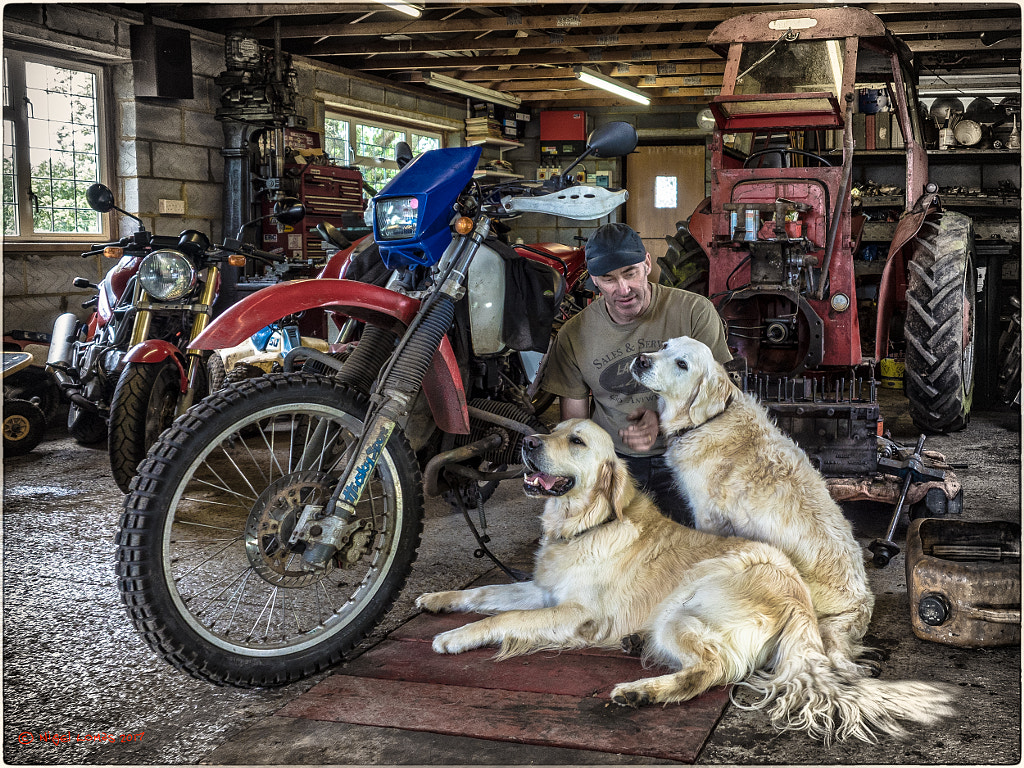 Dogs and their Motorcyclists by Nigel Lomas / 500px