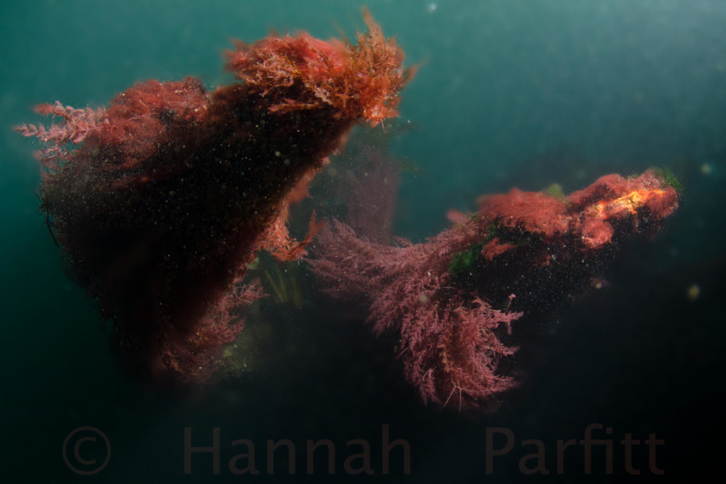 Sunken U-Boat at Pendennis by Hannah Parfitt / 500px