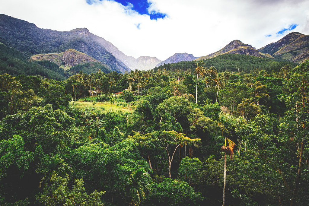 Afternoon in the Belihul Oya Valley, Sri Lanka #2 – Son of the Morning ...