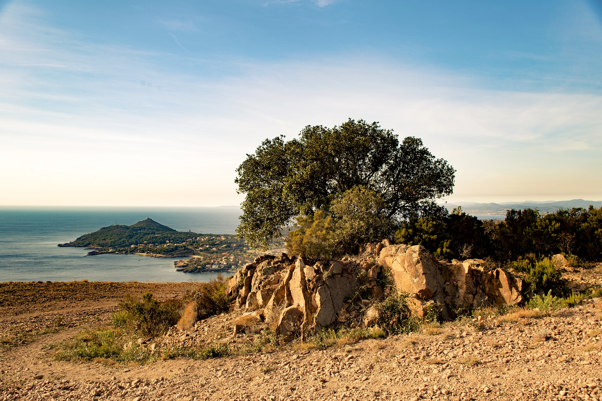Coastal Landscape with Lone Tree | landscape photo by Alexandre ...