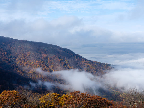 Fall Colors by Juan Marin | 500px