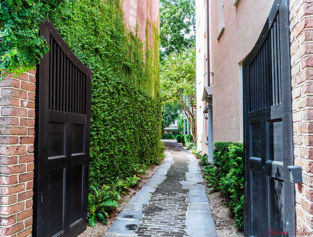 Ivy brick driveway by Austin Kiker / 500px