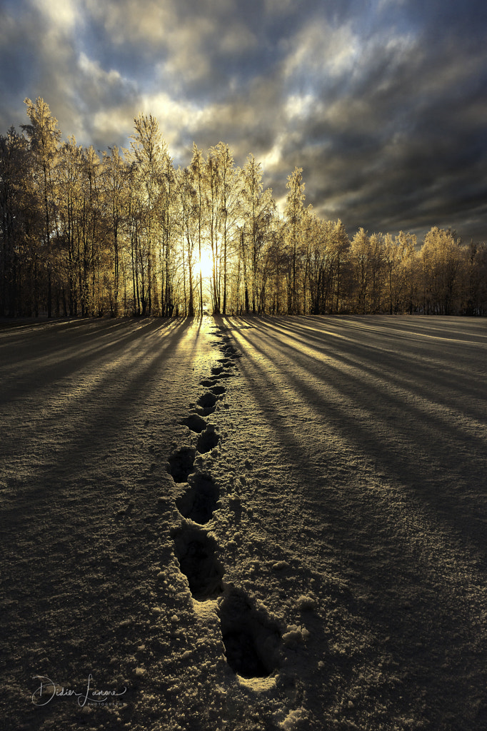 The Sunrise Path by Didier Lanore / 500px