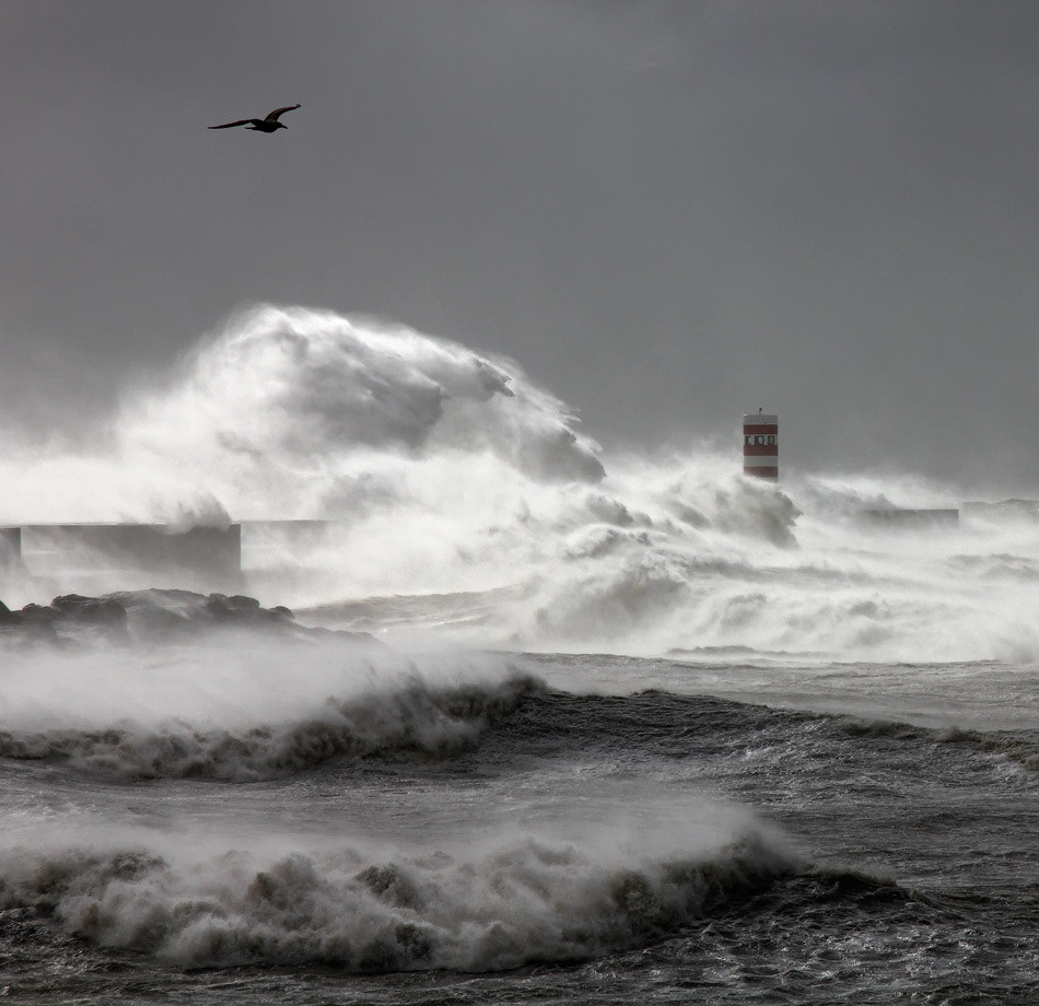 little windy by Veselin Malinov / 500px