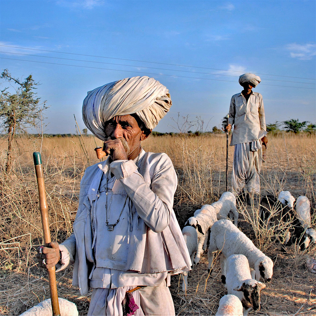 kutch nomad rabaris px by Gerard Roosenboom / 500px