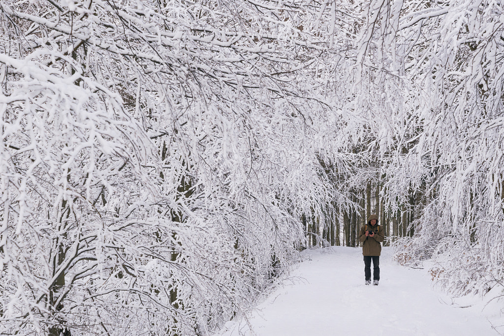 Walking through the woods by Tine Strosar / 500px