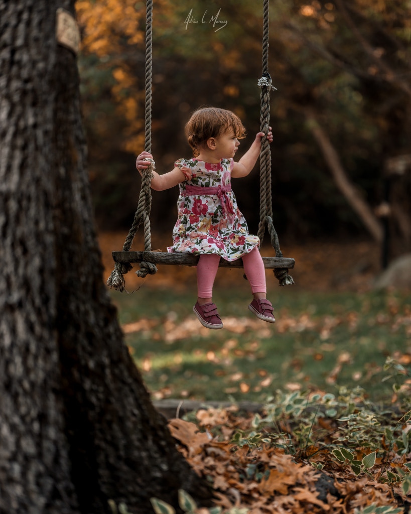 Swing into Fall by Adrian C. Murray / 500px