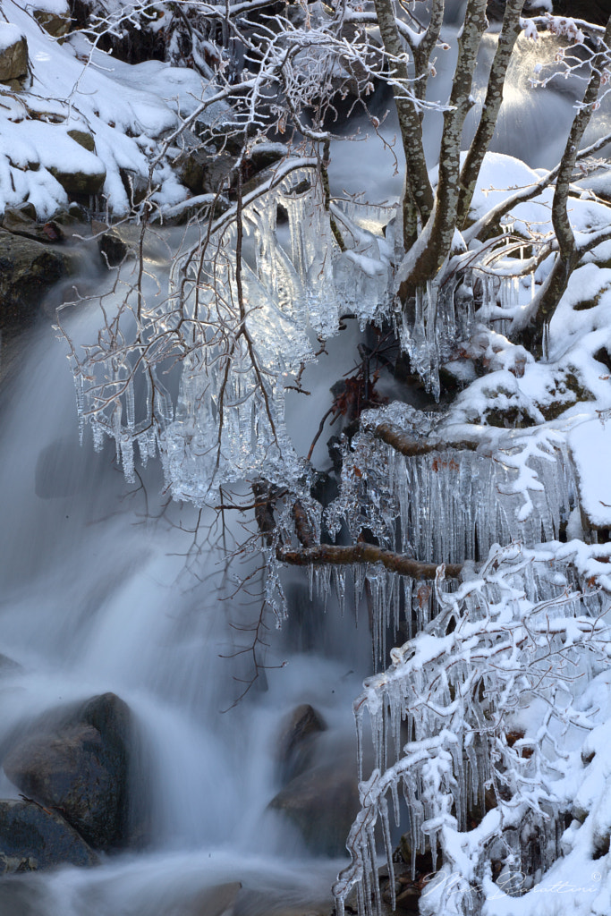 Frozen stream by Max Barattini / 500px