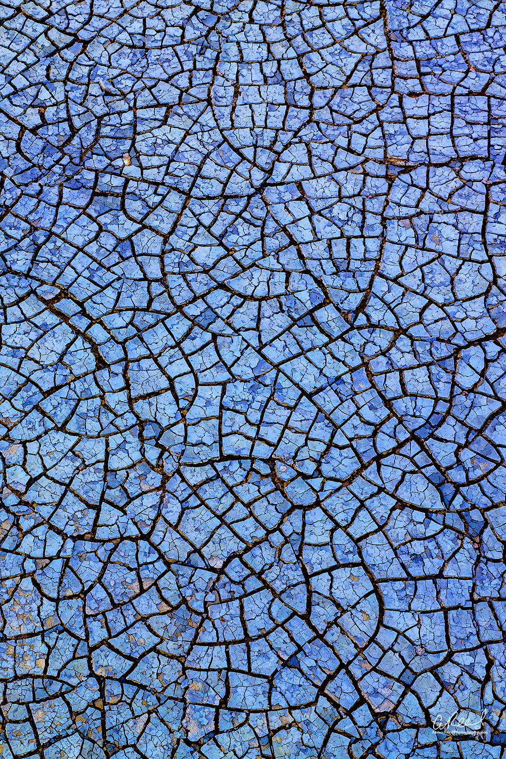 Aaron Reed (AaronReedPhotography) Photos / 500px