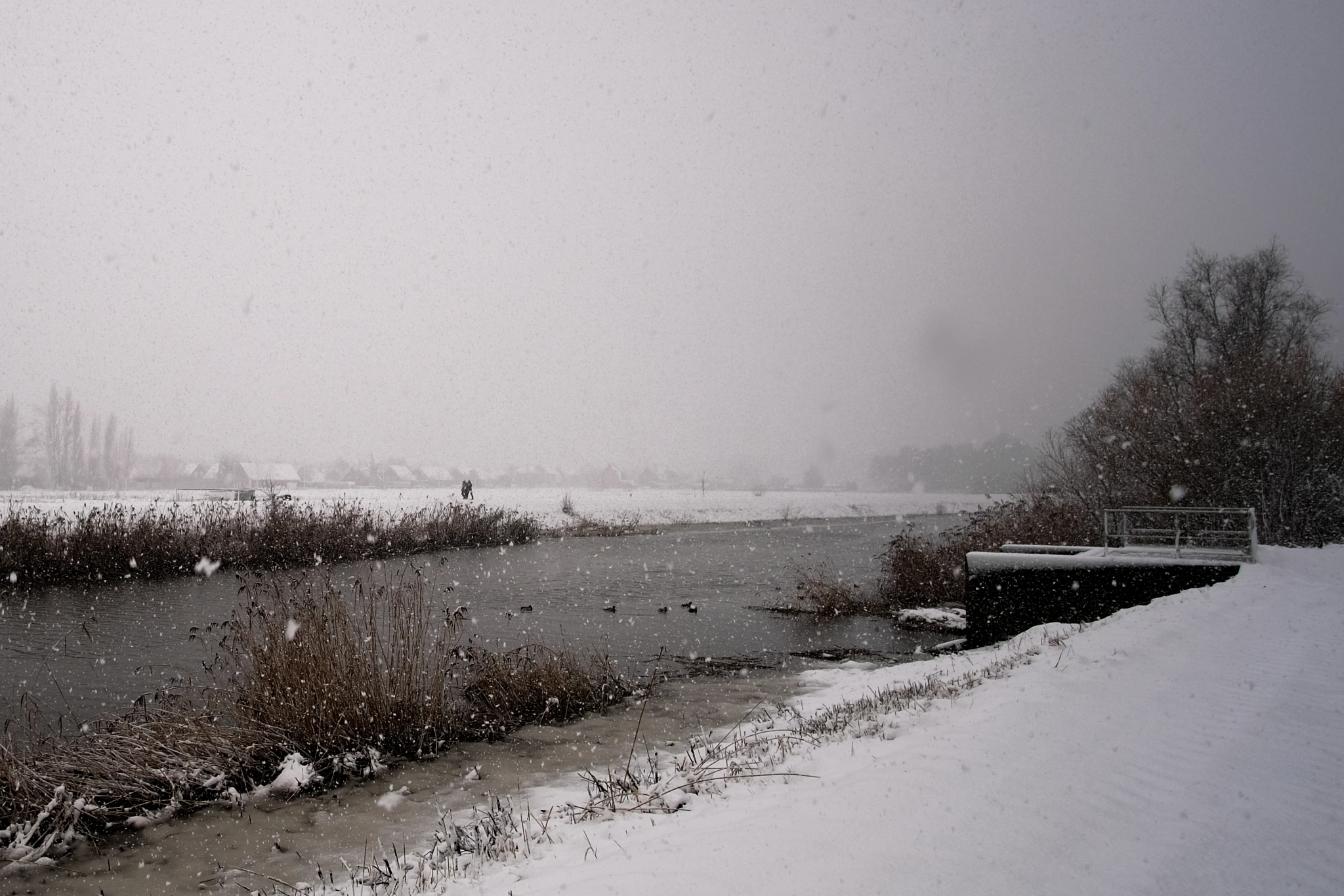 Destelbergen winter by Matthias Van Hove / 500px