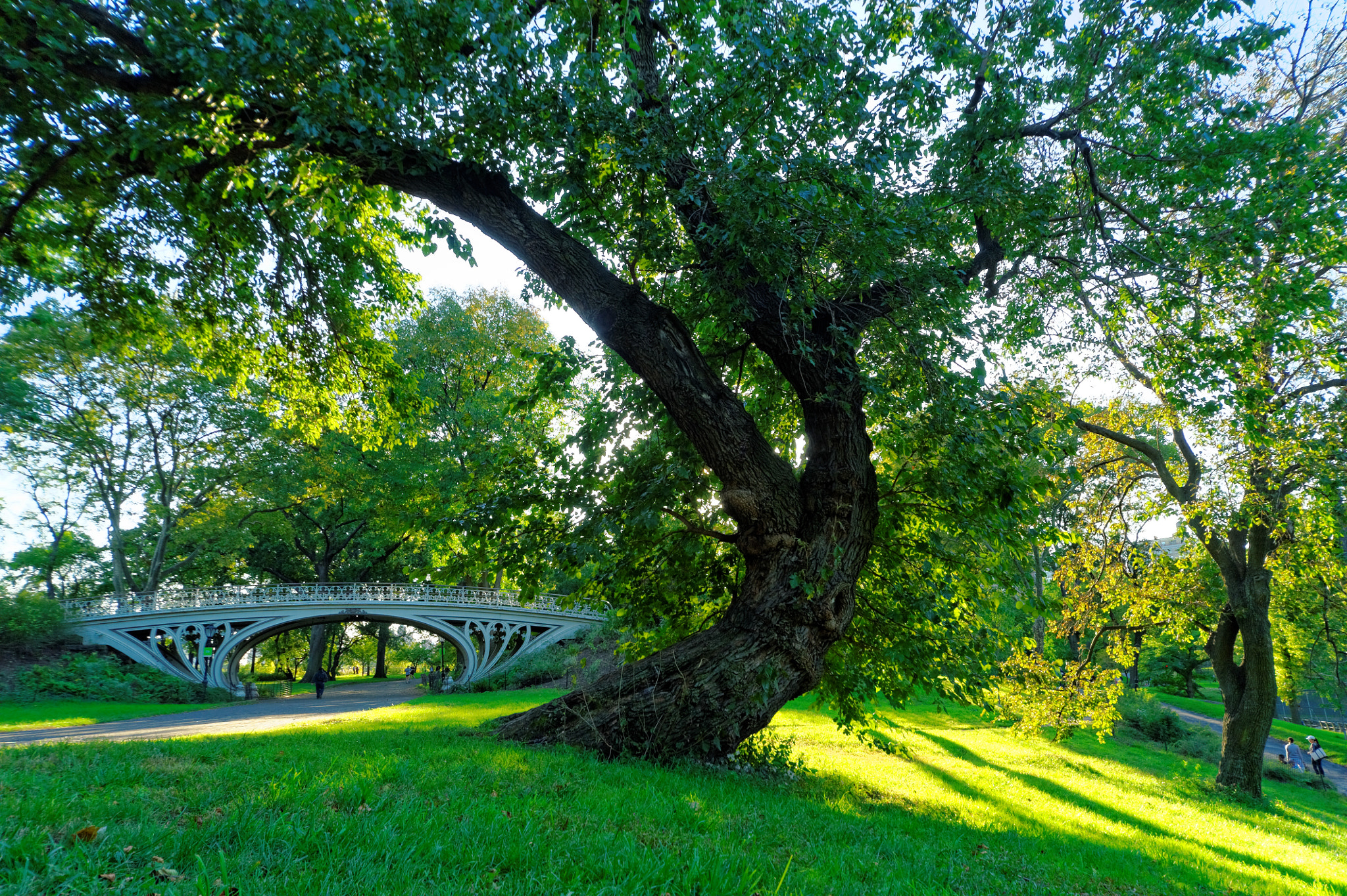 Central Park - The Gothic Bridge (notice the silhouette light between 2 ...