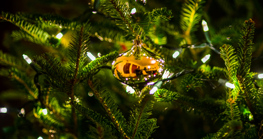 Festive Ornament on a Christmas Tree | still life photo by Neema Doma ...