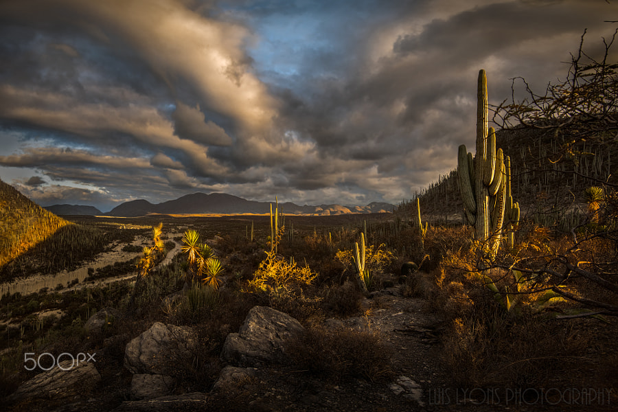 Sunny Afternoon at the Mixteca Poblana by Luis Lyons / 500px