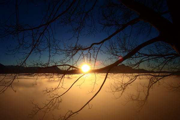 Sunset Through Barren Branches | nature photo by CAMILLE HEIM | 500px