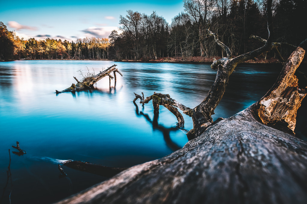 Giant has fallen by Karsten Brand / 500px