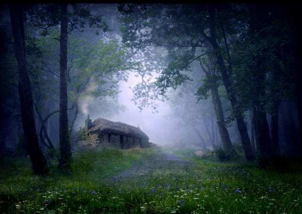 The Cottage in the Woods by Angie Latham | 500px
