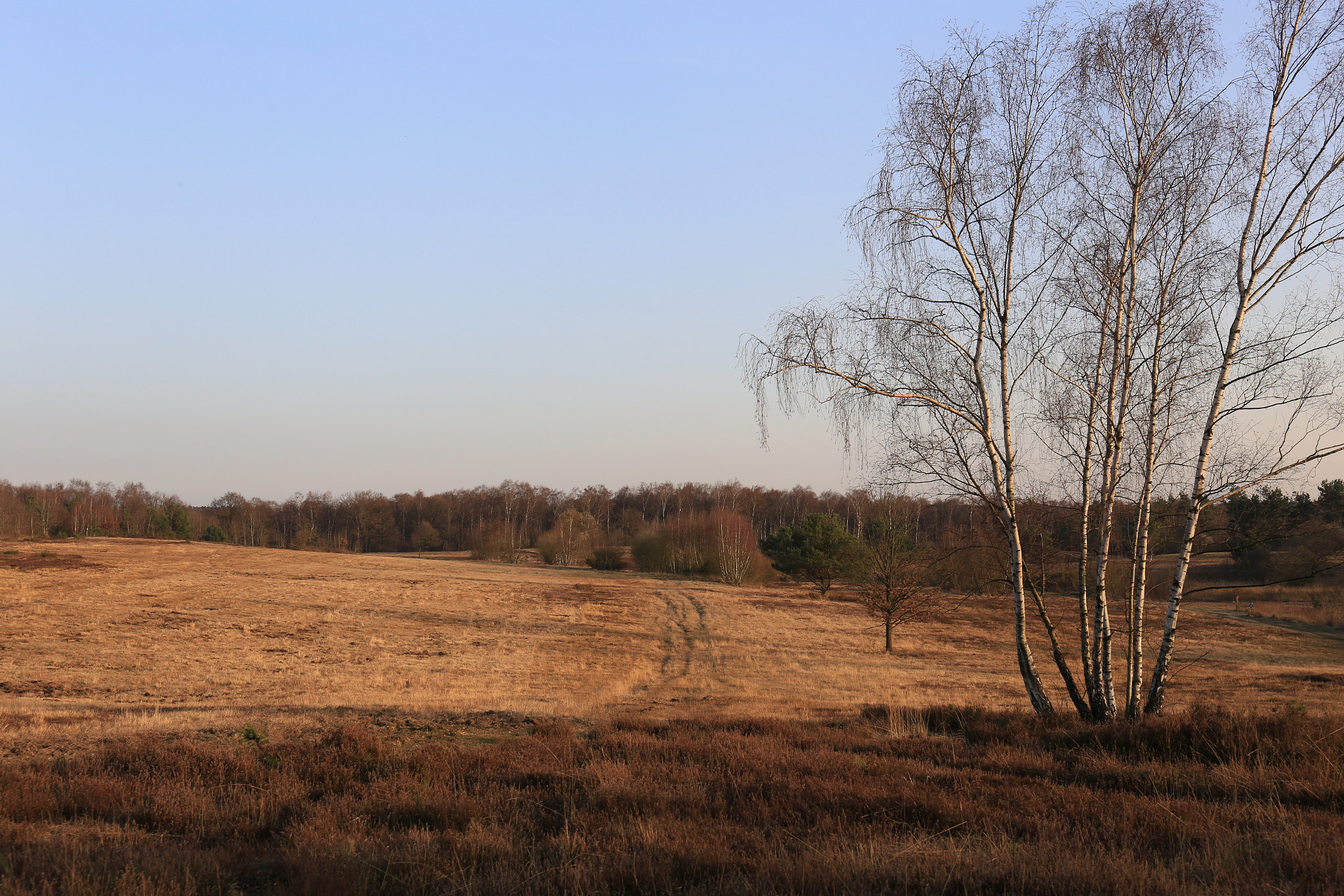 Wahner Heide by Markus Kochniss / 500px