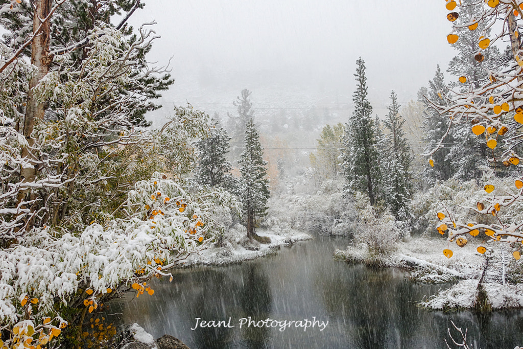 Snow over the Lake by Jean Li / 500px