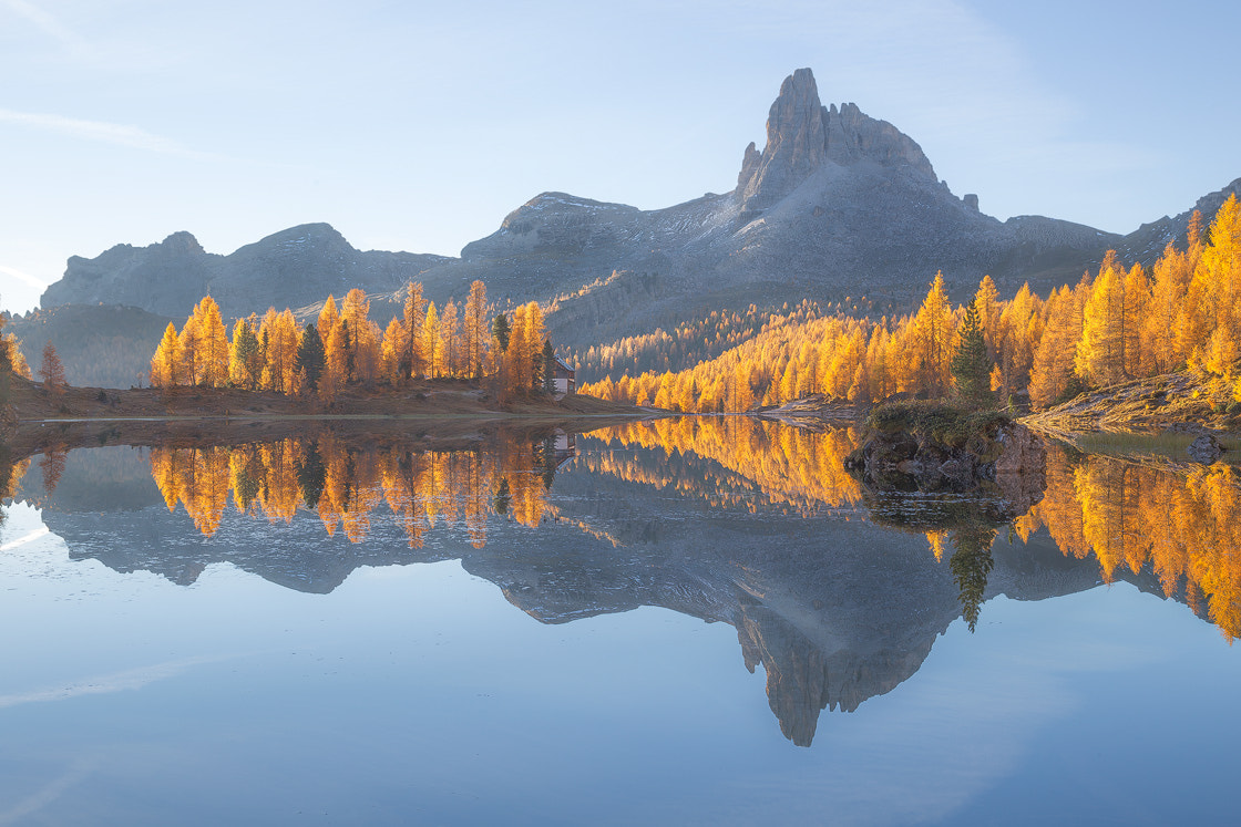 The Gold Experience by Dino Marsango / 500px