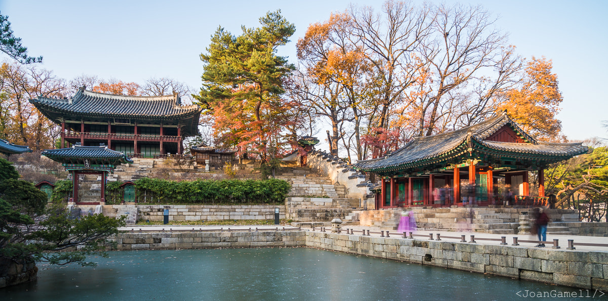 Joan Gamell (gamell) Photos / 500px