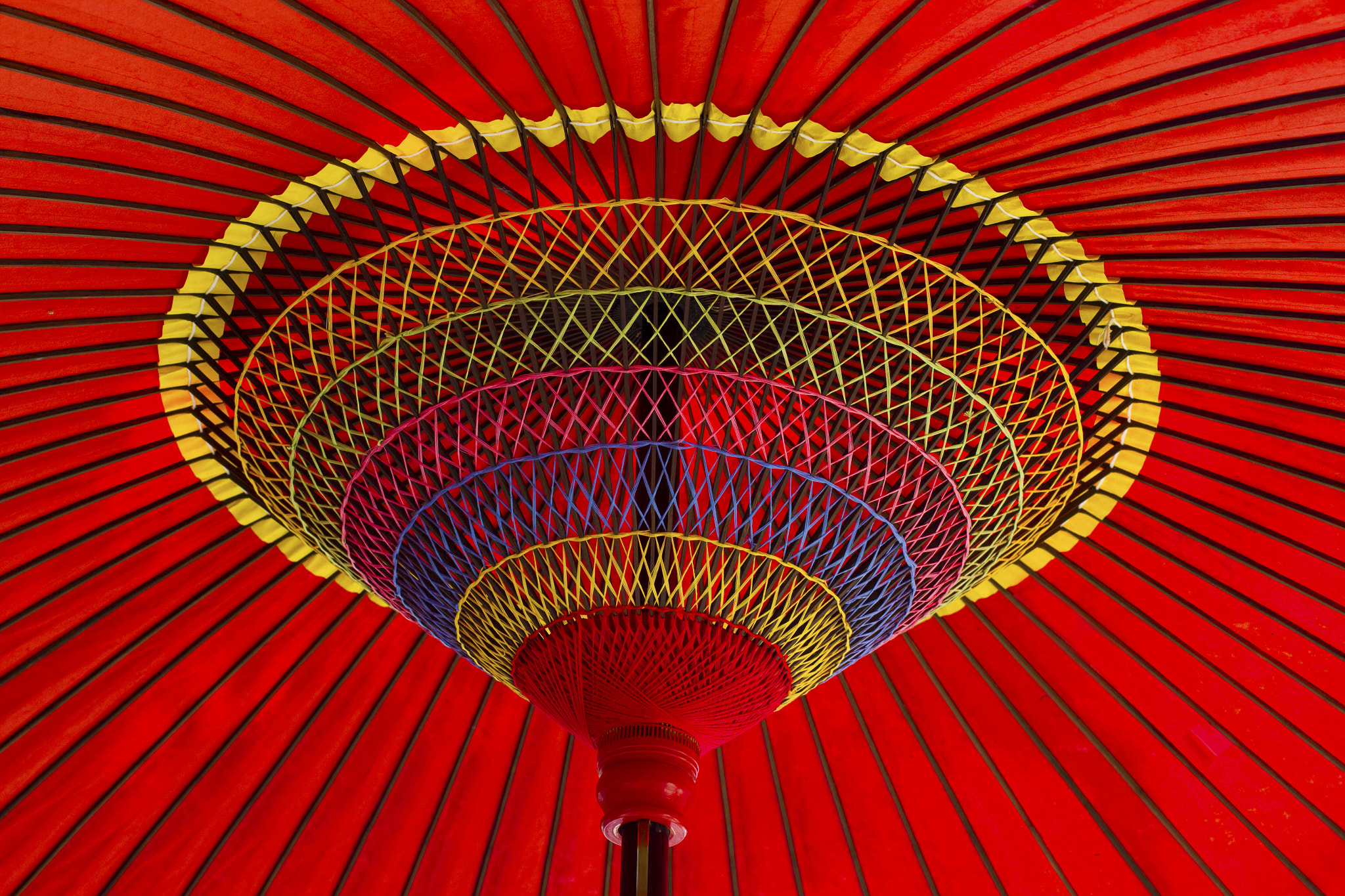 Parasol Explosion by Sam Ryan / 500px