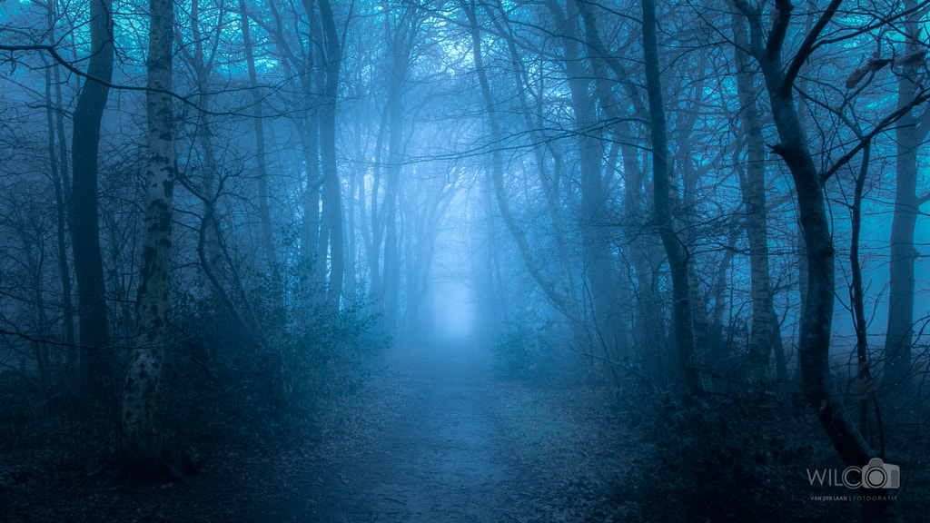 Wilco van der Laan Fotografie (WilcovanderLaan) Photos / 500px