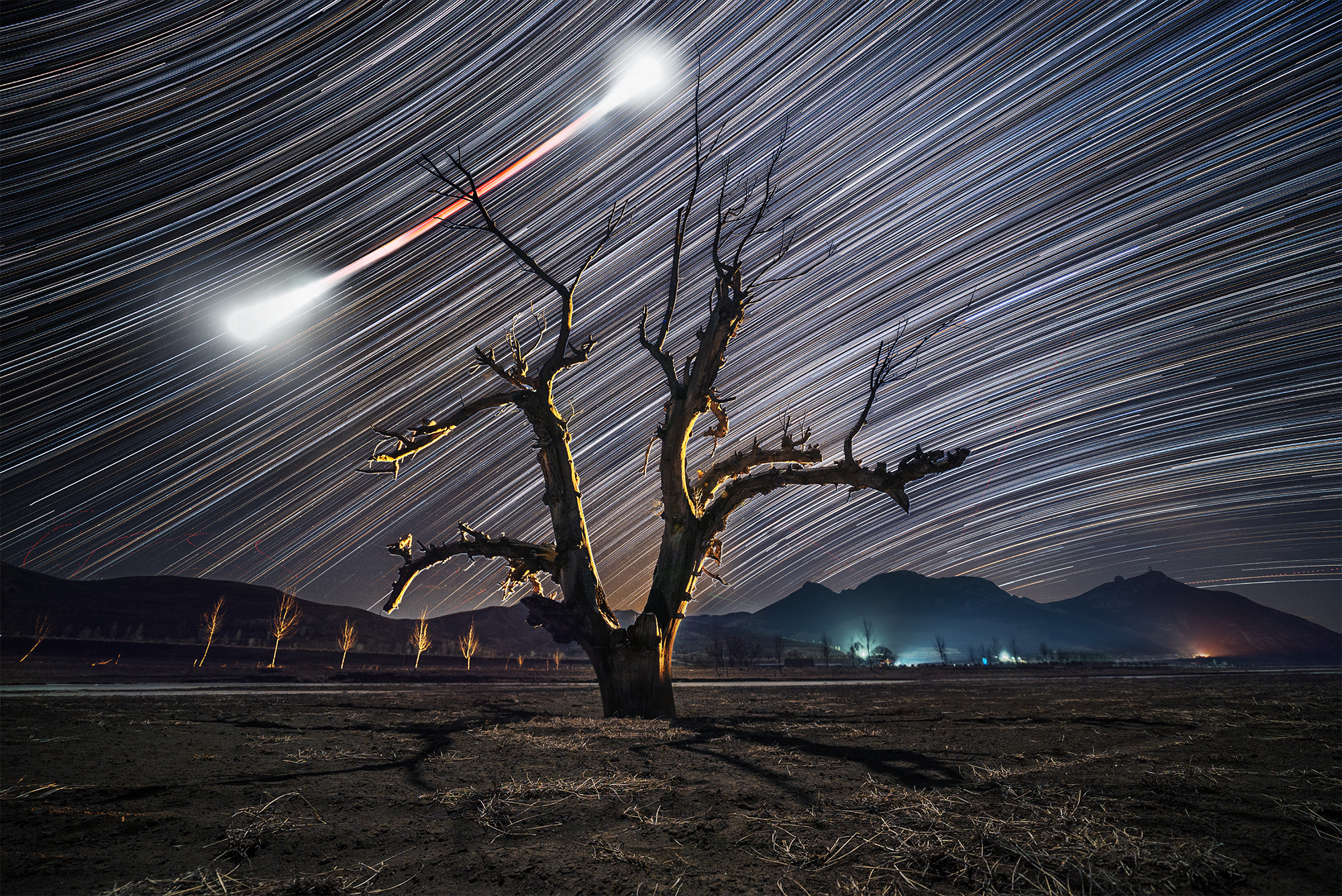 Star Trails Over a Barren Tree | nature photo by Haitong Yu | 500px