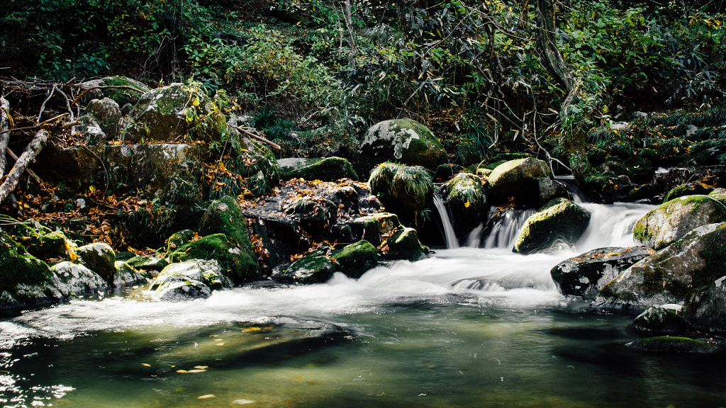 Hanazono Hananuki Prefectural Natural Park by Ryan Tiew / 500px