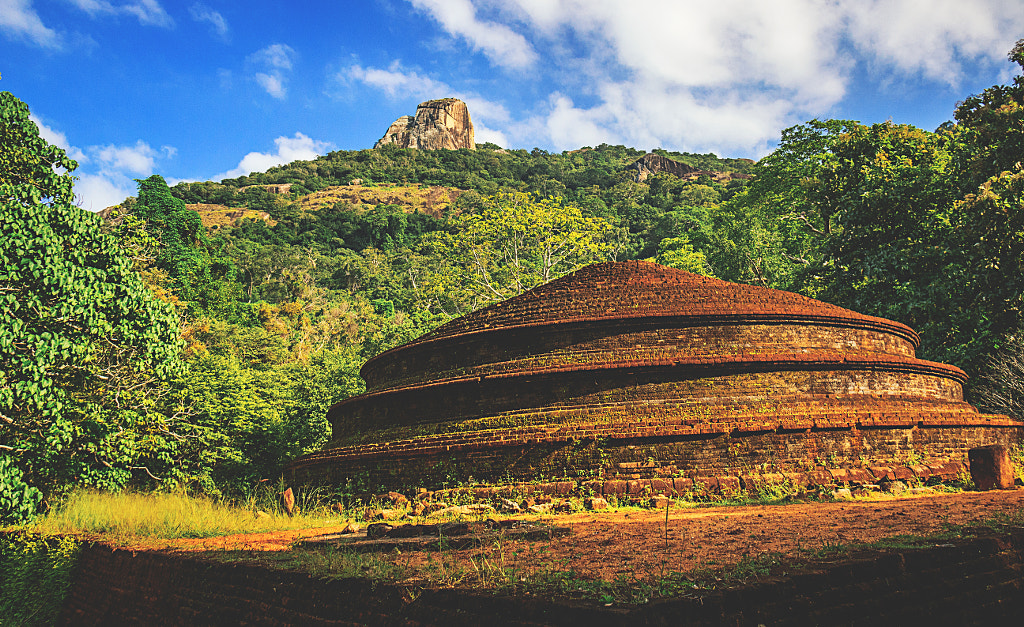 The Forgotten Temple #4 – Son of the Morning Light