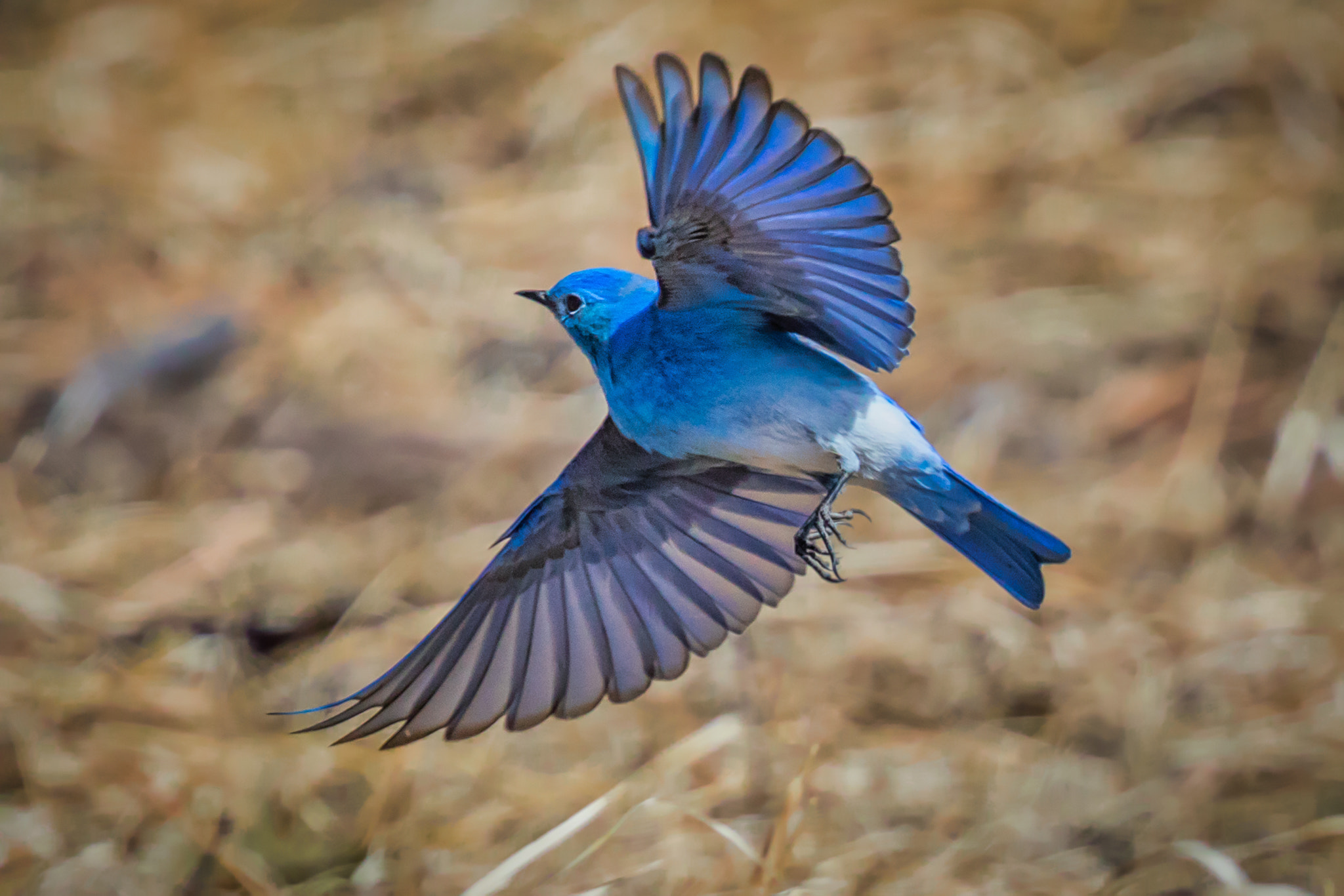 Richard Hahn (hahn23) Photos / 500px