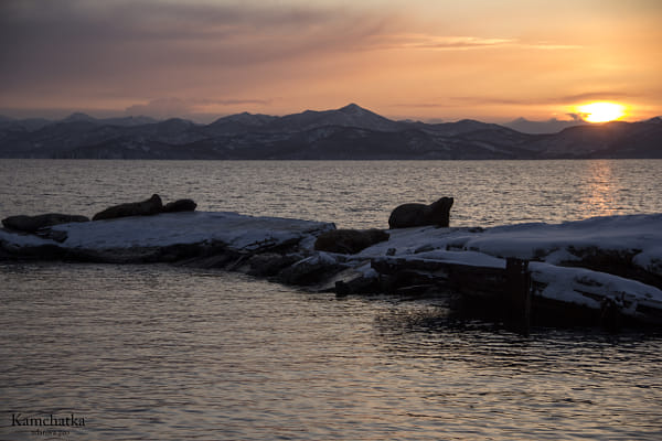Kamchatka by Maria Zdarova | 500px