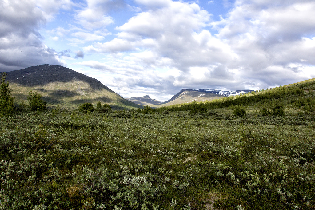 View of Norwegian National park by eswaran arulkumar / 500px
