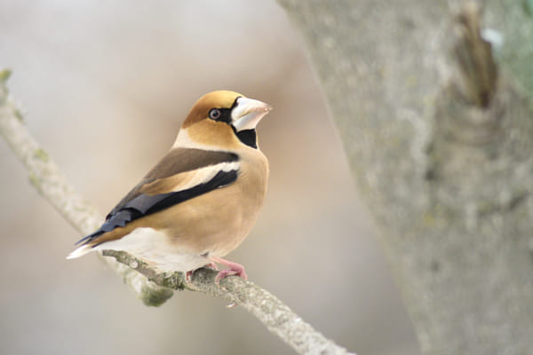 Frosone DSC by Giordano Gattara | 500px