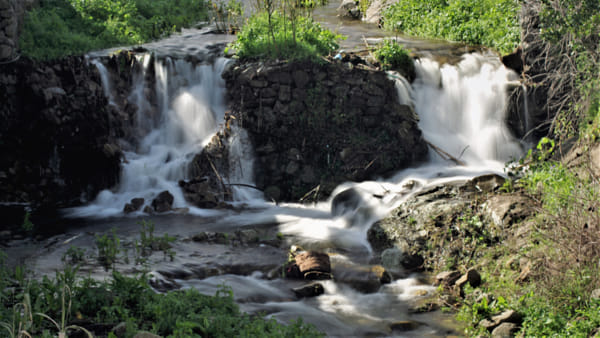 Il Panicale di Marciana by Riccardo Galletti | 500px